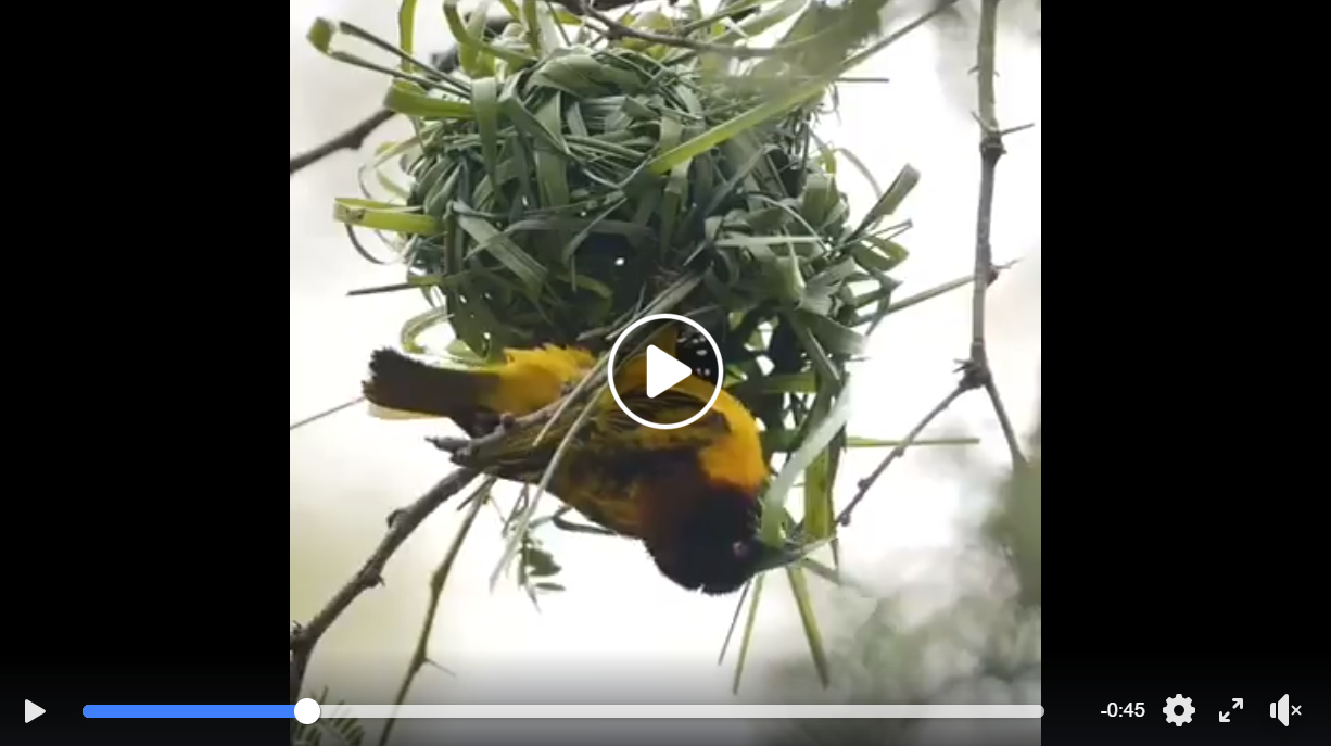 Lettre aux futurs bacheliers – Ecrire pour le plaisir… et pour être lue